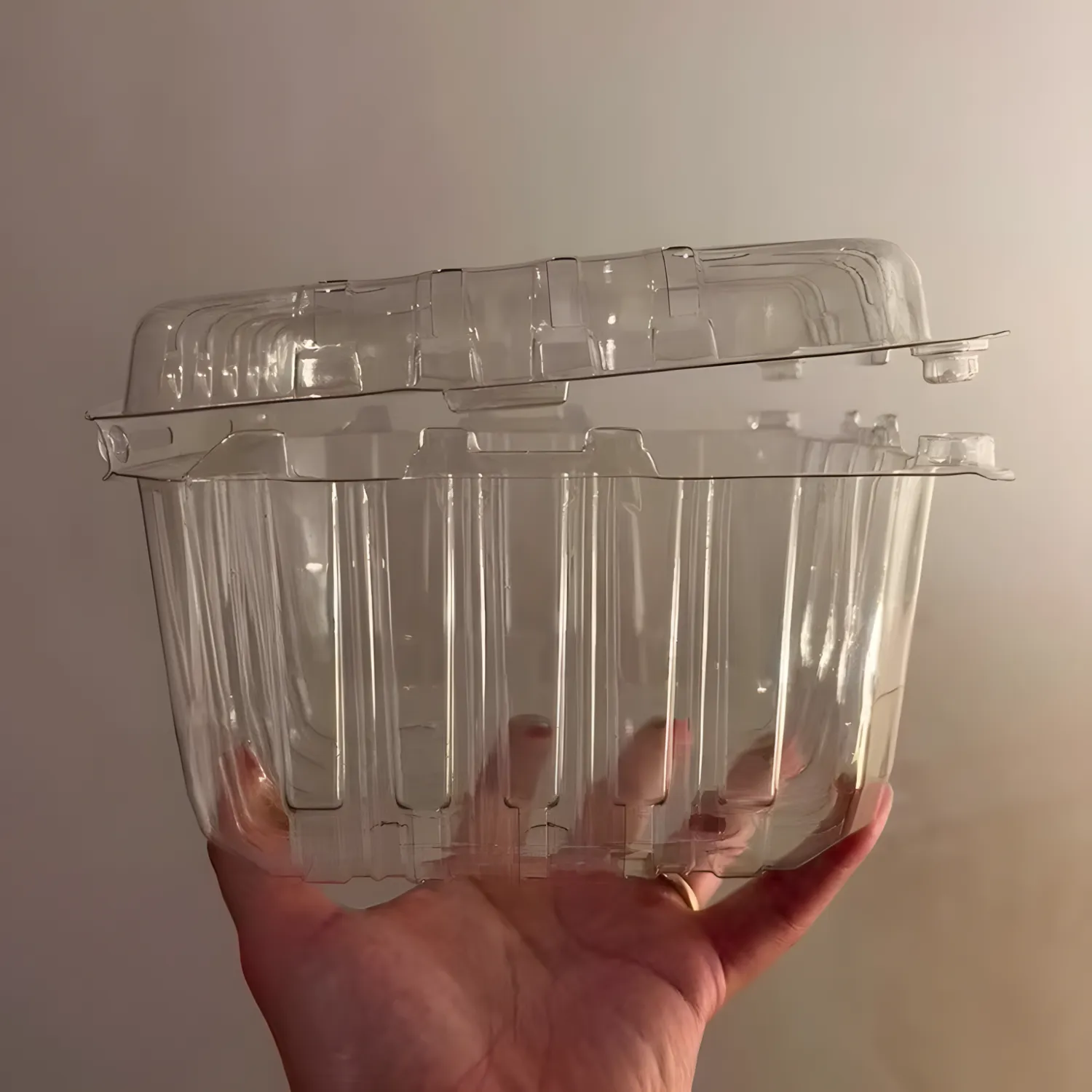 PLA Biodegradable Lunch Box,PLA Packing & Take-out Tableware